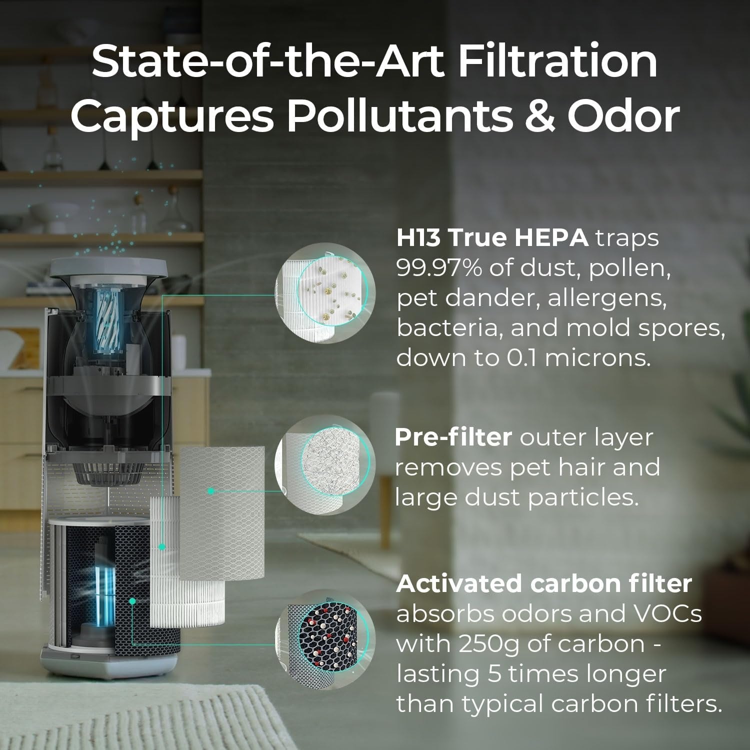 Core® 750 Replacement Filter – Puraclenz