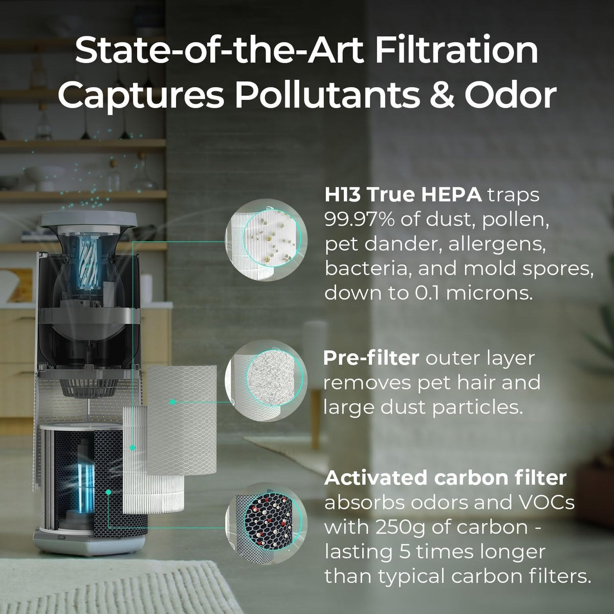 Core® 750 Replacement Filter – Puraclenz